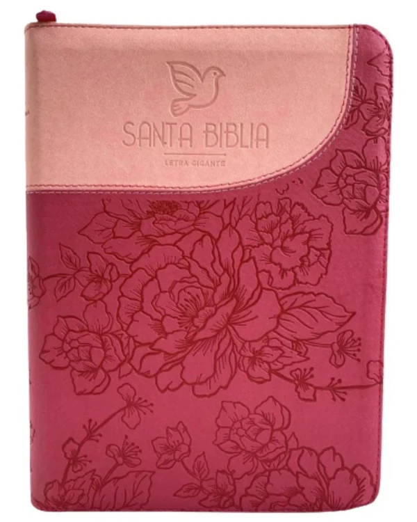 Biblia Reina Valera 1960, Letra Grande, Imitación Piel, Grande, Fucsia ...