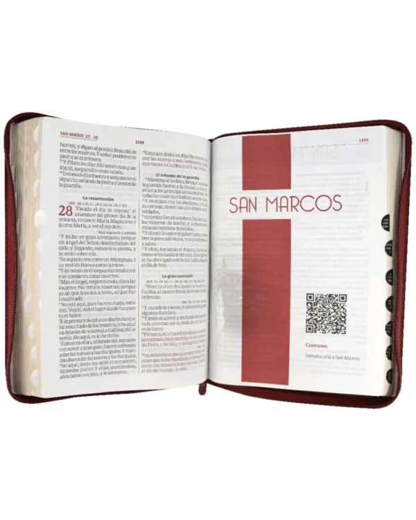 Biblia Reina Valera 1960 | Letra Gigante Vinotinto - LA REFORMA