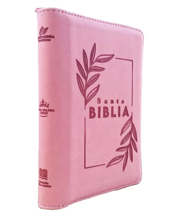 Biblia Reina Valera 1960 | Letra Grande, Pequeña, Rosada con Cierre ...