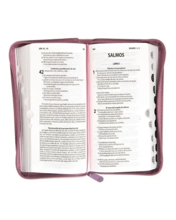 Biblia tipo chequera Reina Valera 1960, Senti Piel, Pequeña, Rosa con ...
